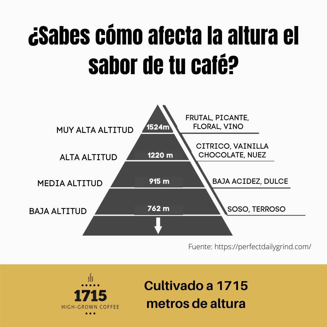 Café de altura ¿qué es? - 1715 High Grown Coffee
